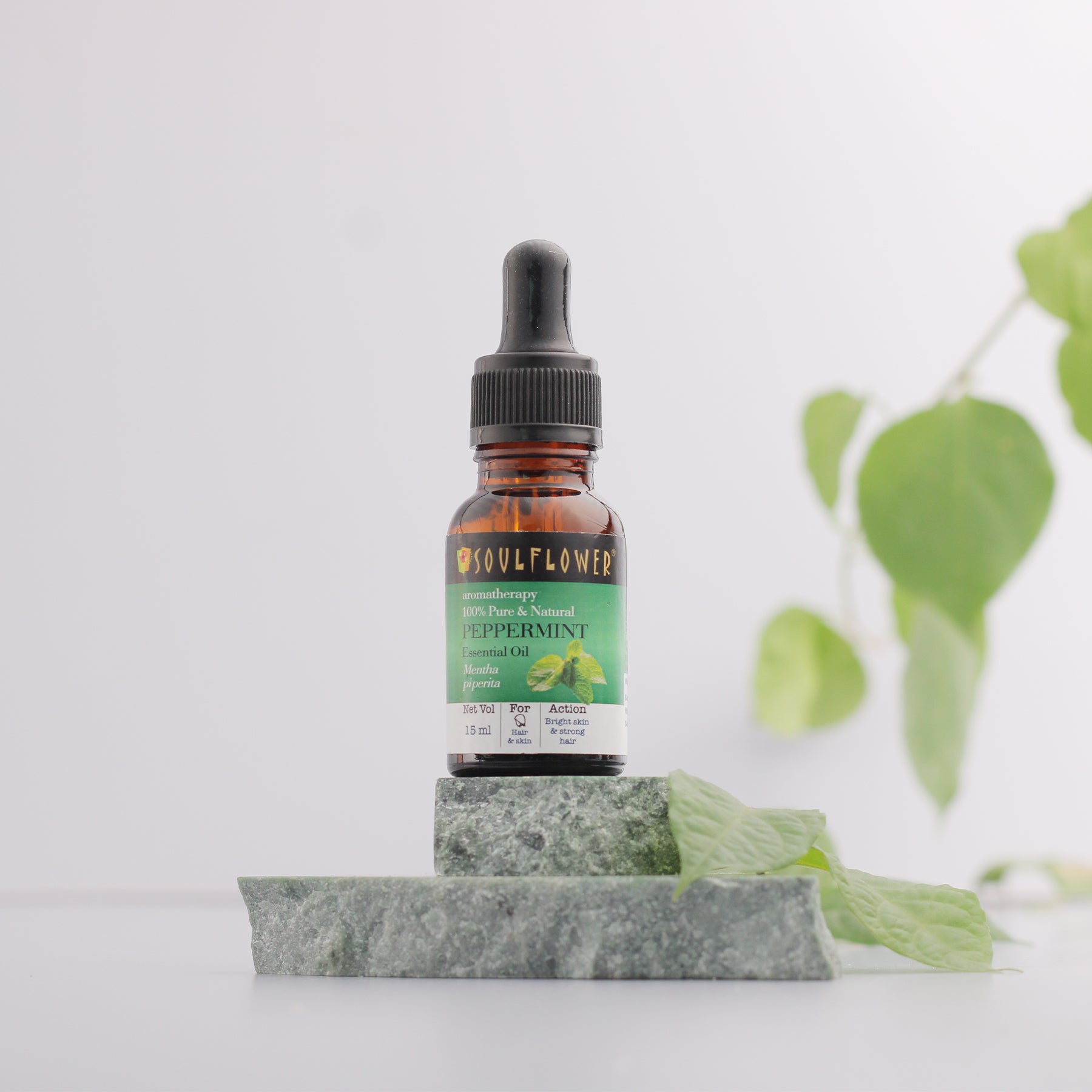 Peppermint oil for skin and hair – Soulflower.in
