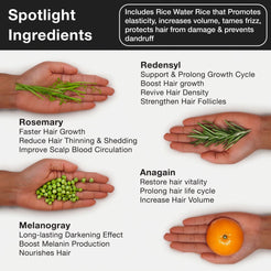 Rosemary Hair Growth Serum, Biotin, Rice Water, Tea Tree, No Minoxidil ...
